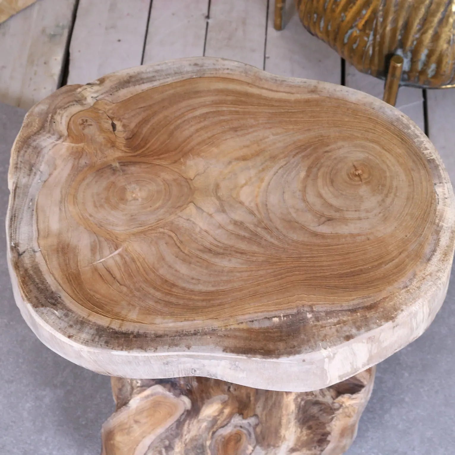 Unique Natural Tree Root Side Table Plant Stand - Maravi