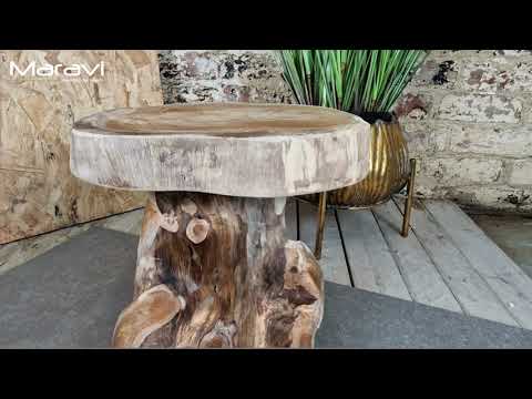 Unique Natural Tree Root Side Table Plant Stand - Maravi